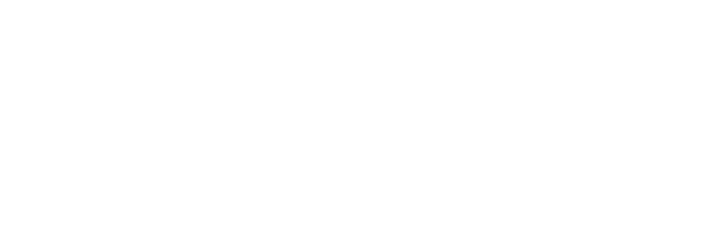 The Future of German Media